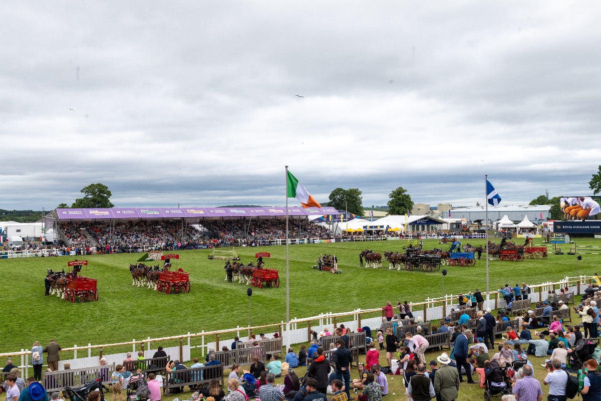 Represent parts ways with RHASS & RHS PR account after 25 years | Represent